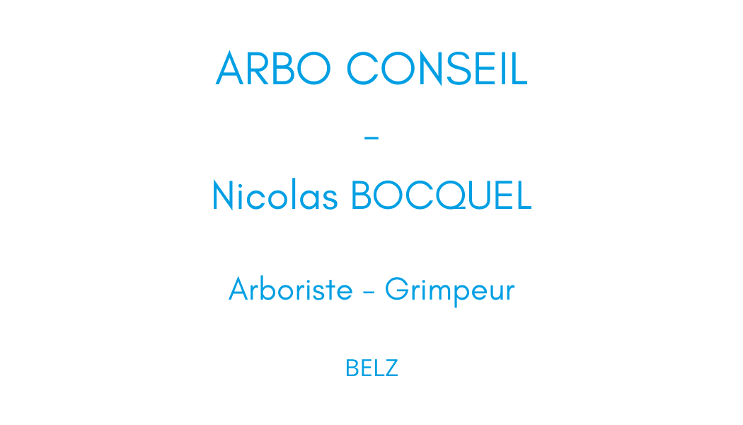 ARBO CONSEIL - Filéo Groupe